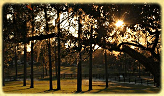 Home Builder in Pine Ridge Estates, Pine Ridge Equestrian Complex, Pine ...